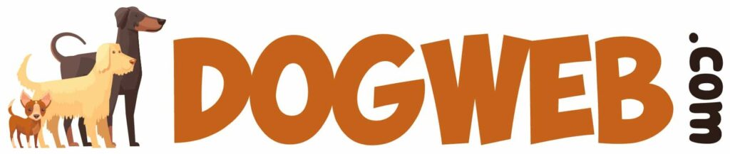 Shepherd dog breeders and puppies in Switzerland - DogWeb.com